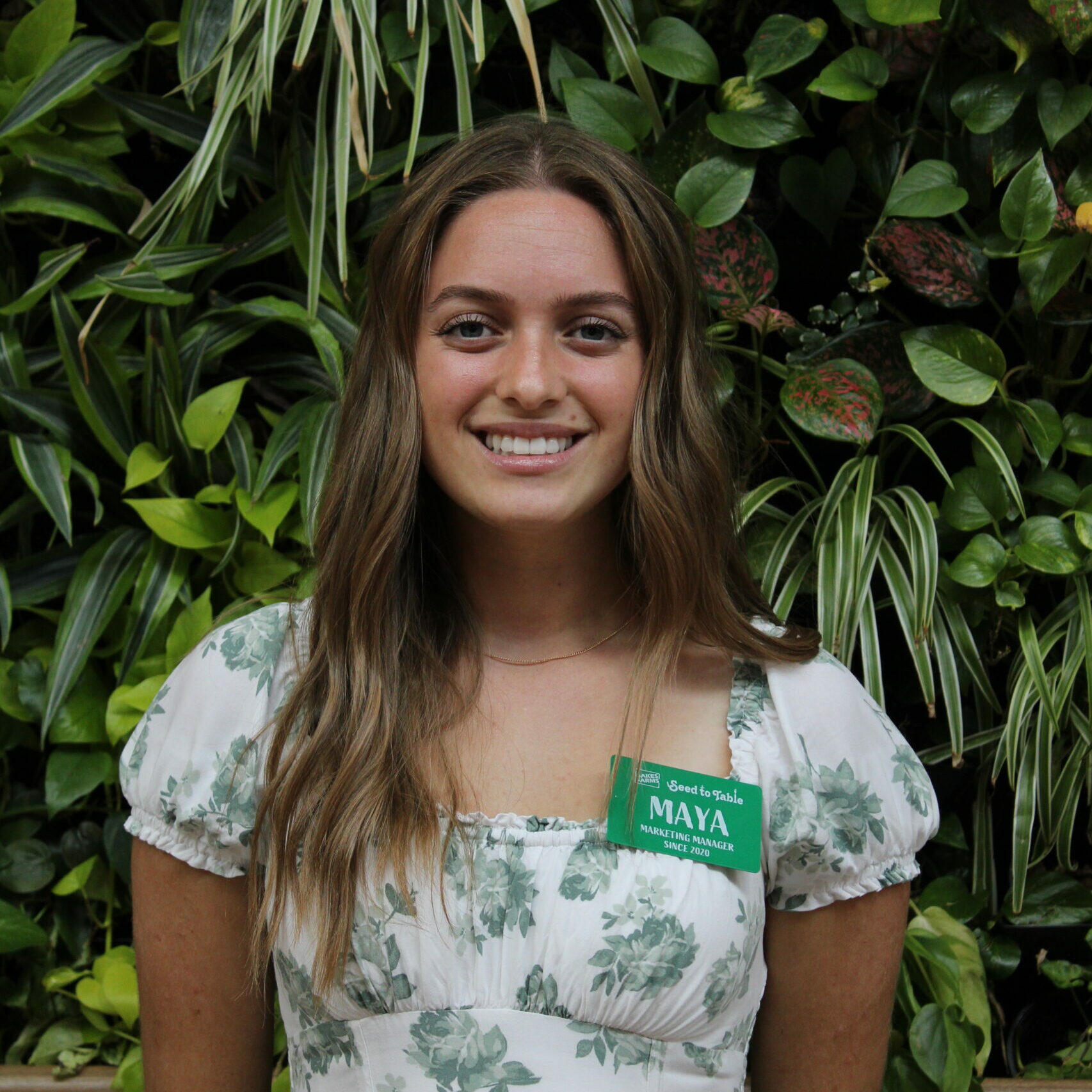 Meet the Team - Seed to Table